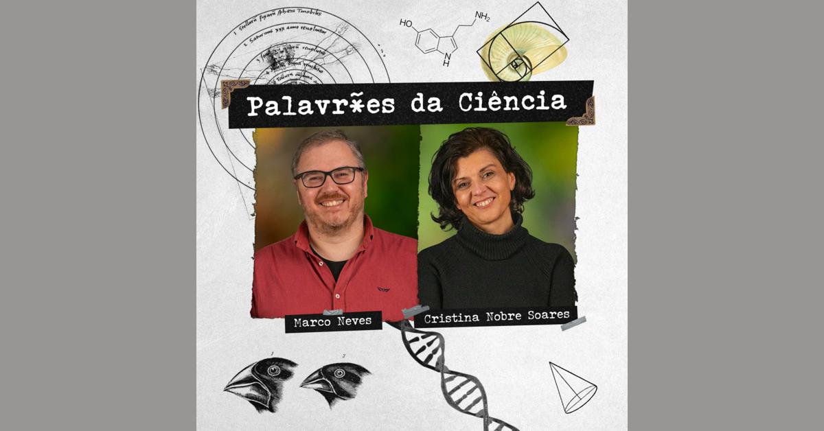 Quem tem medo dos morcegos? (com Hugo Rebelo) by Palavrões da Ciência